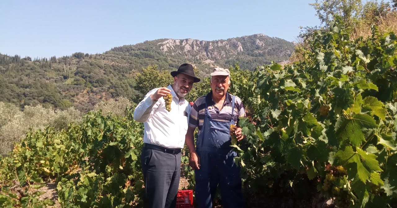 ΕΛΛΗΝΙΚΑ ΚΡΑΣΙΑ KOSHER MEVUSHAL ΑΠΟ ΤΟ ΣΥΝΕΤΑΙΡΙΣΜΟ ΤΗΣ... - Athinorama.gr